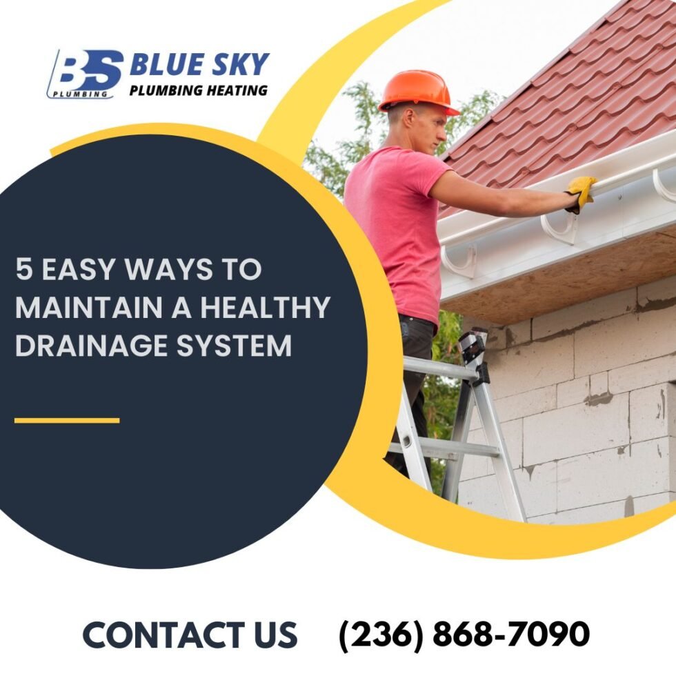 5 Easy Ways to Maintain a Healthy Drainage System - Blue Sky Plumbing ...