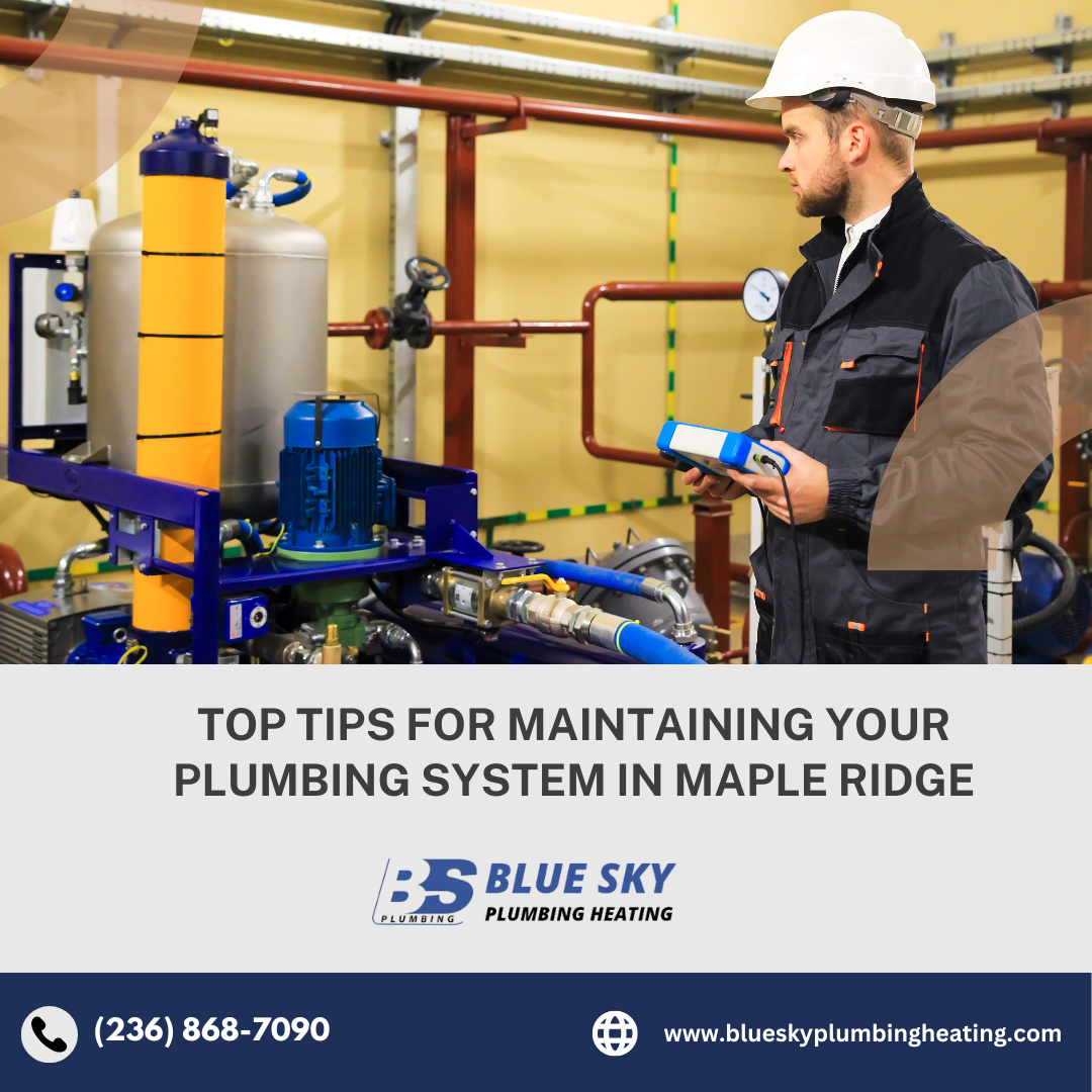 Top Tips for Maintaining Your Plumbing System in Maple Ridge - Blue Sky ...